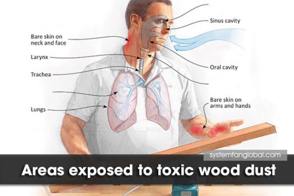 What is wood dust? How is wood dust harmful to human health?
