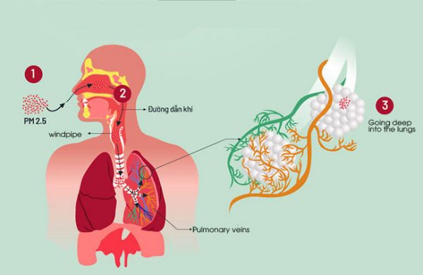 Is paper dust harmful to health? How to reduce paper dust?