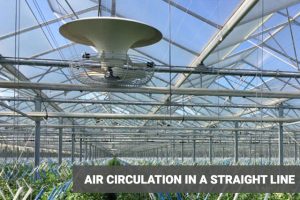 Types of ventilation, notes and exhaust fan series for greenhouses